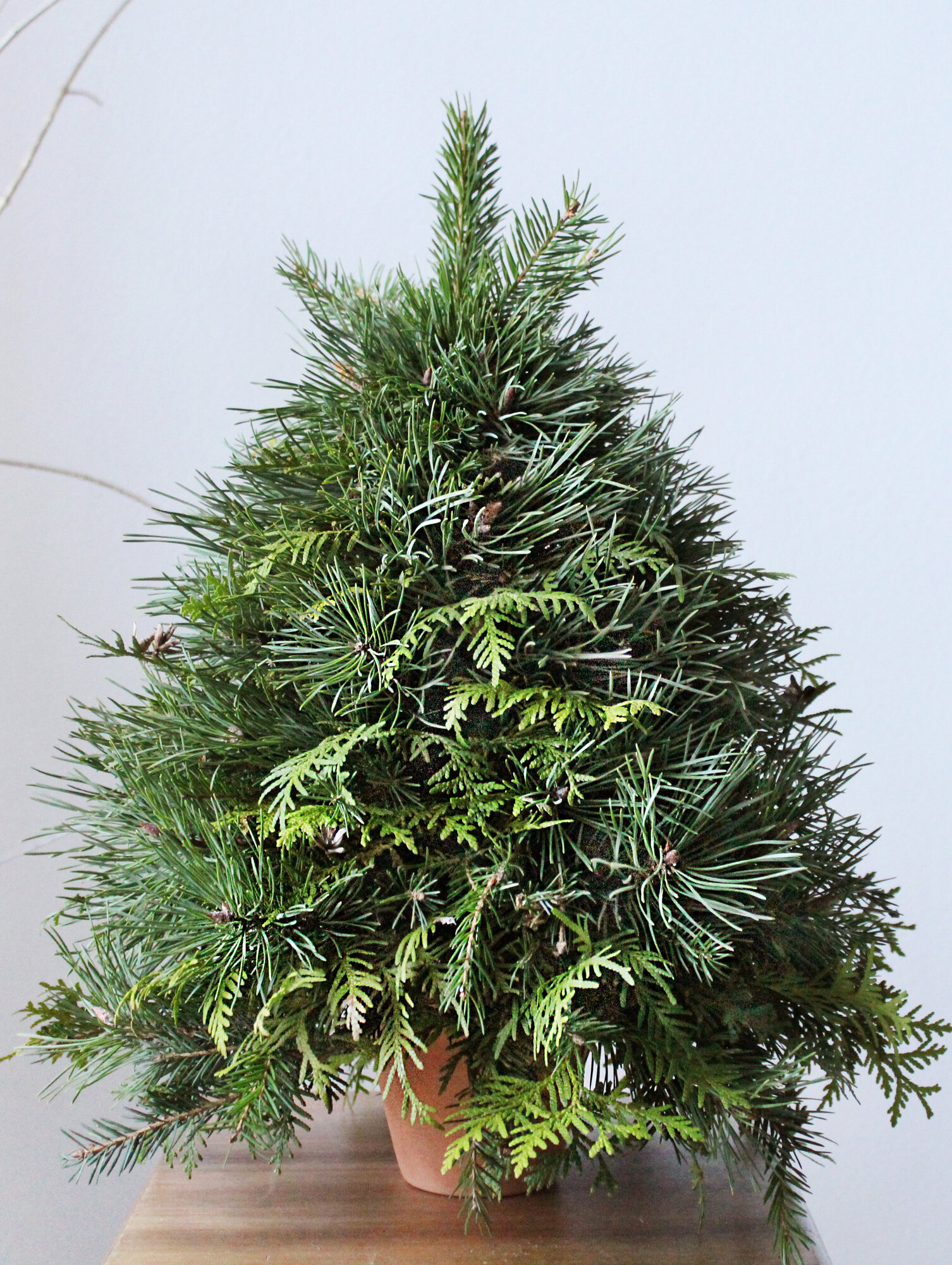 Ёлочка новогодняя "Живая хвоя" L, ароматные ветви хвои для украшения интерьера, собрана на флористической губке