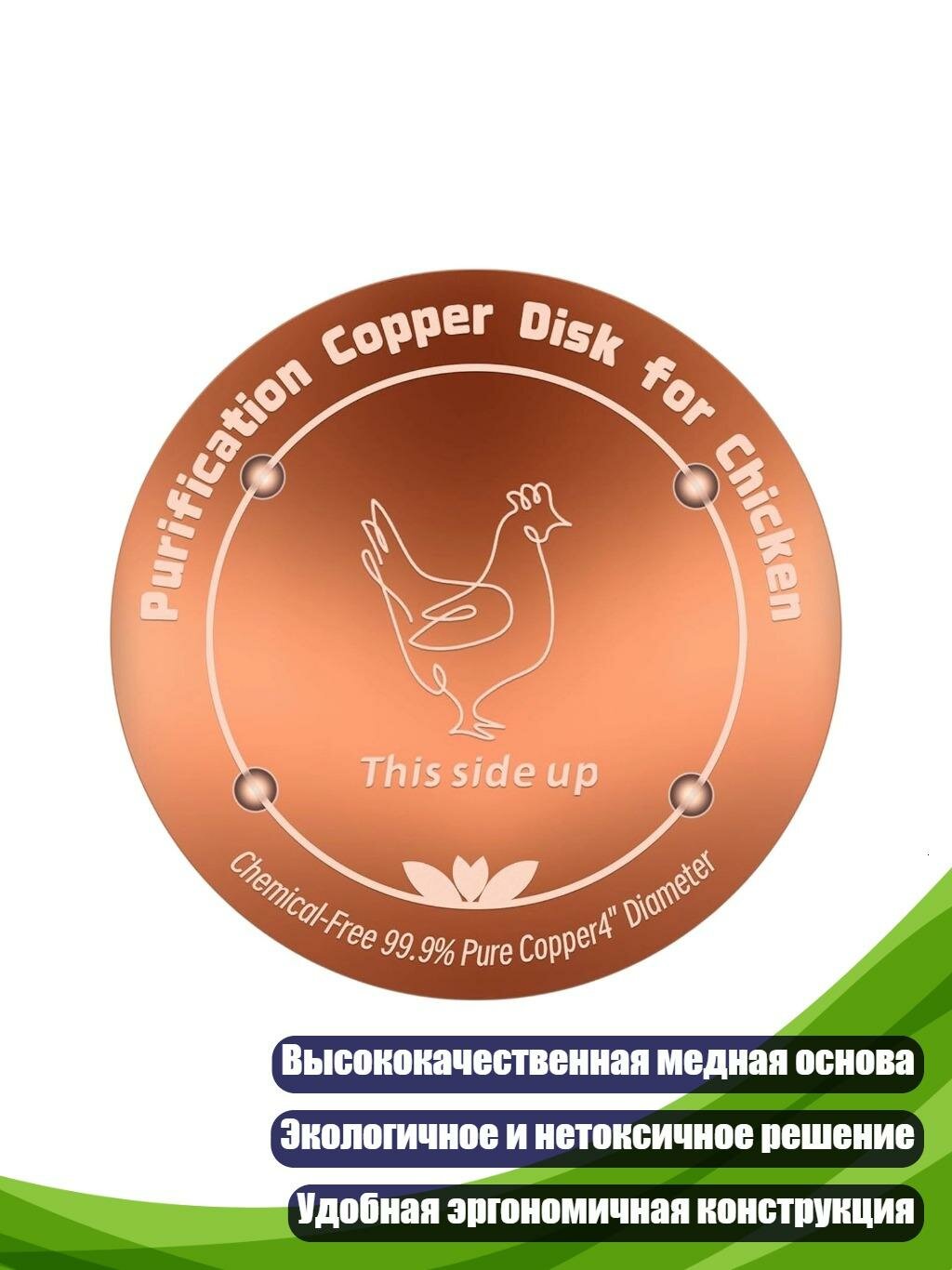 Медный диск для чистки птичьего бассейна, Б Курица