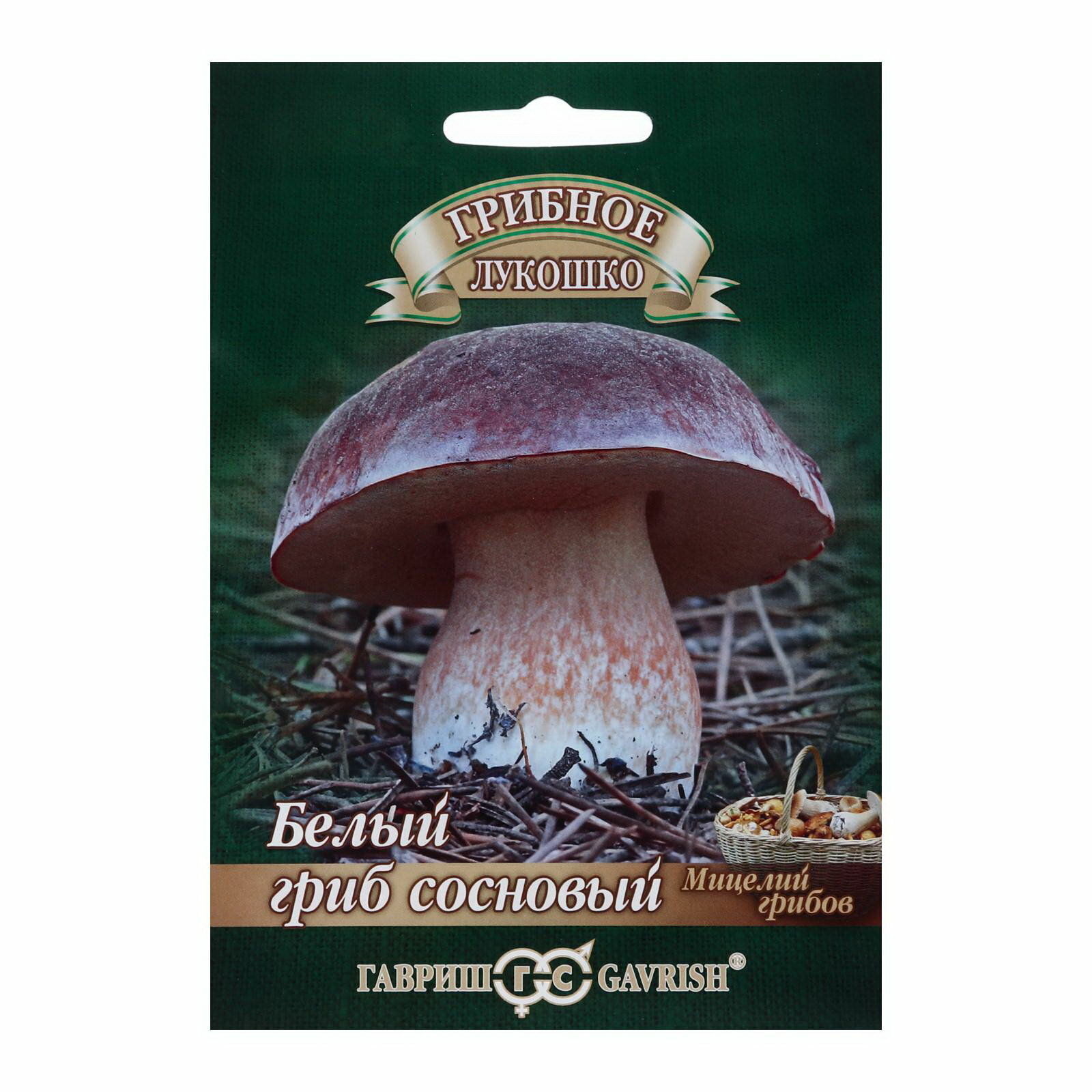 Семена Мицелий грибов "Белый гриб сосновый", на зерновом субстрате, 15 мл