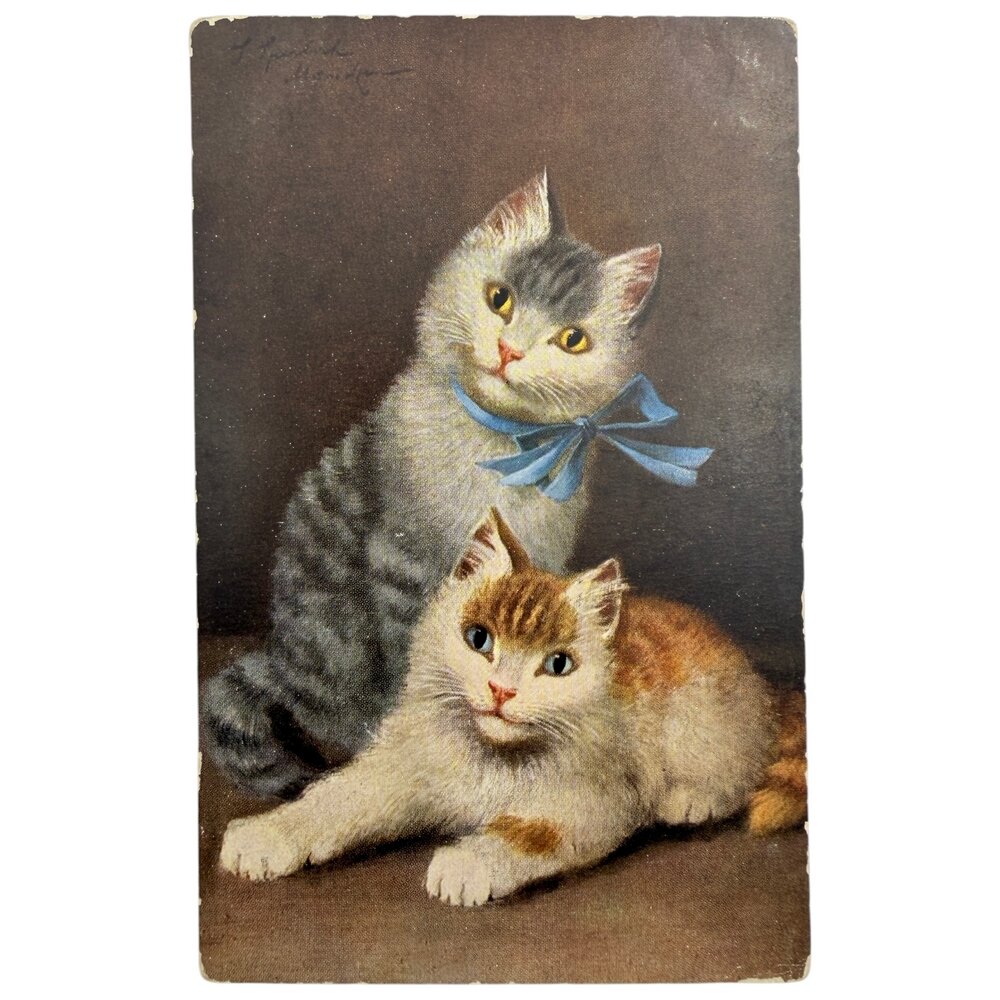 Почтовая открытка "Котята" 1900-1915 гг. Германская Империя