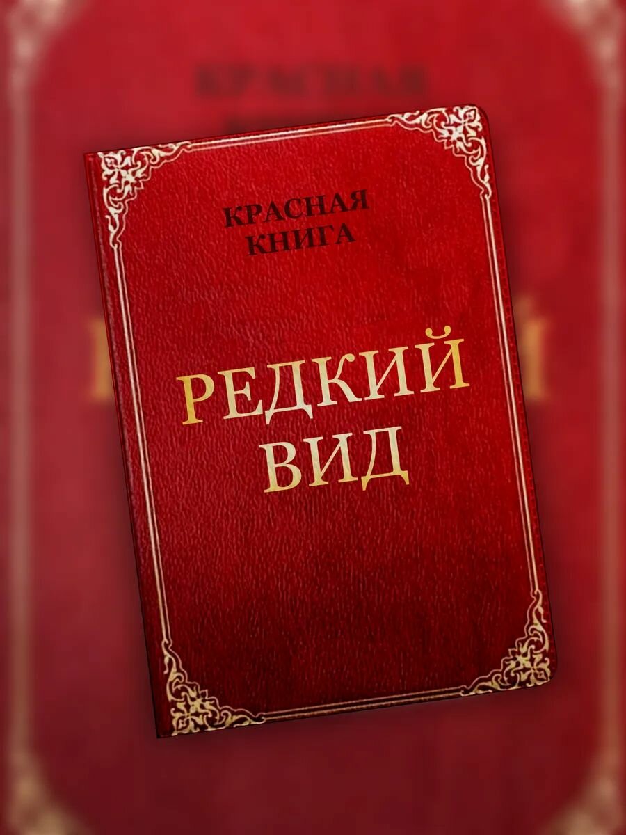 Обложка для паспорта