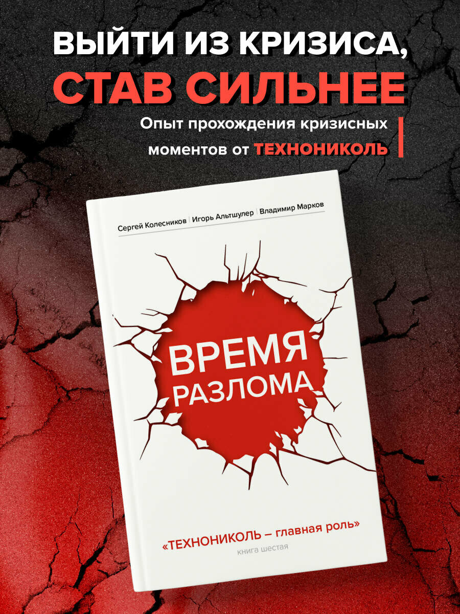 Колесников С. А, Альтшулер И. Г, Марков В. В. Время разлома. Технониколь — главная роль