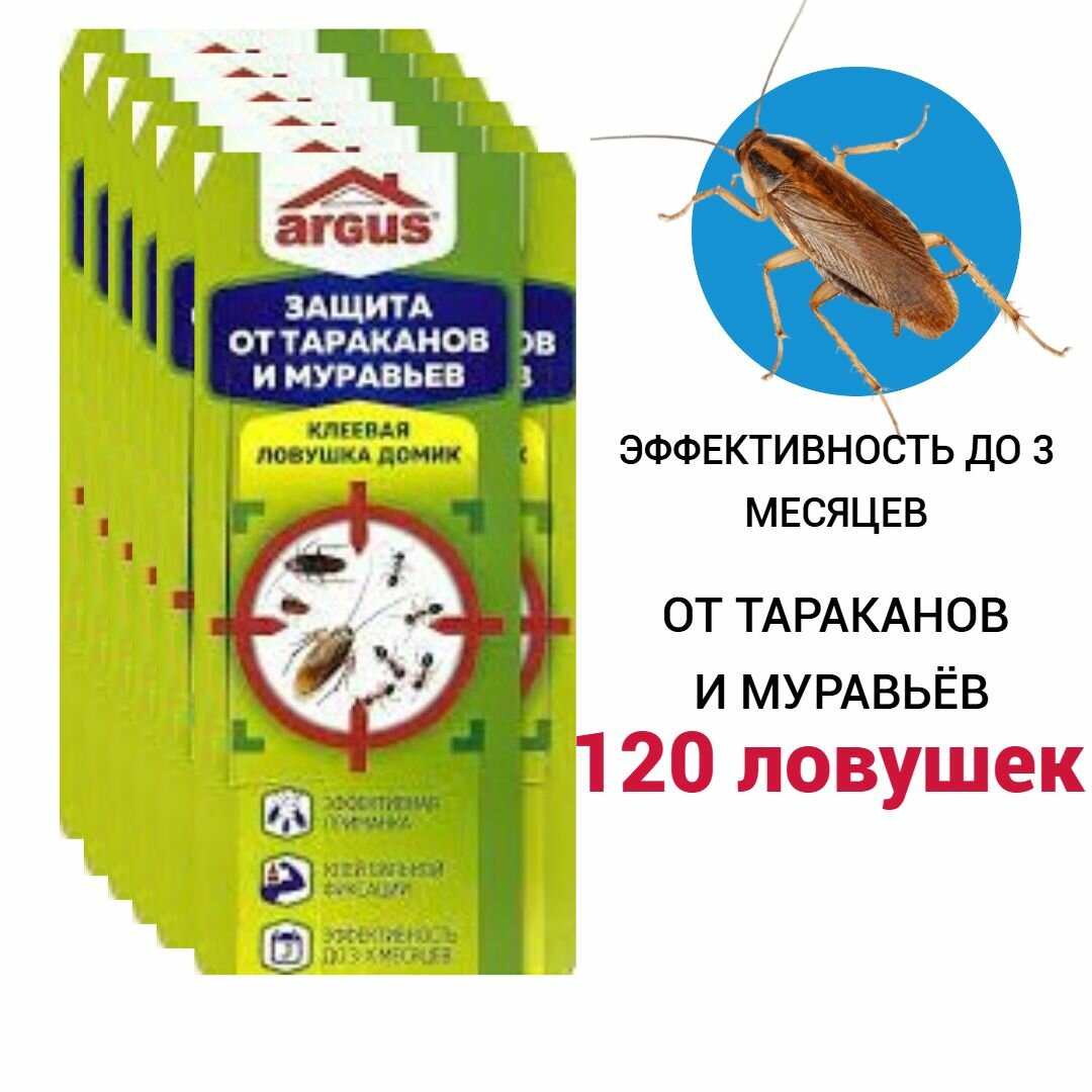Клеевые ловушки Аргус 120 шт. от тараканов и муравьёв