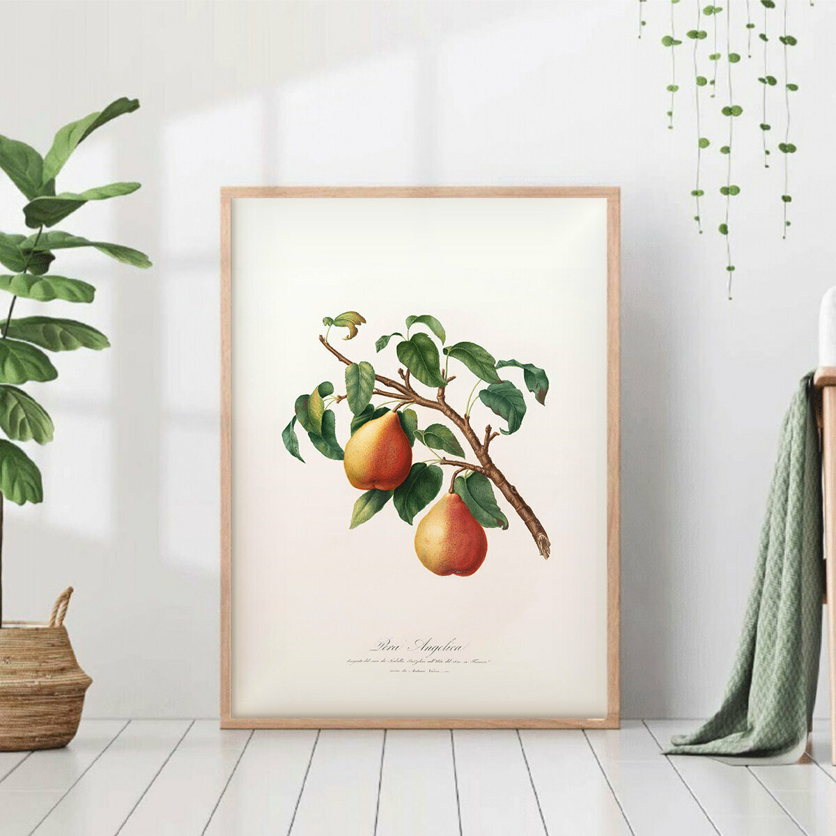 Постер "Груши на ветке" без рамы 40x50 см на стену для интерьера