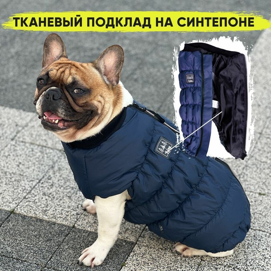 Одежда для животных — фото 1