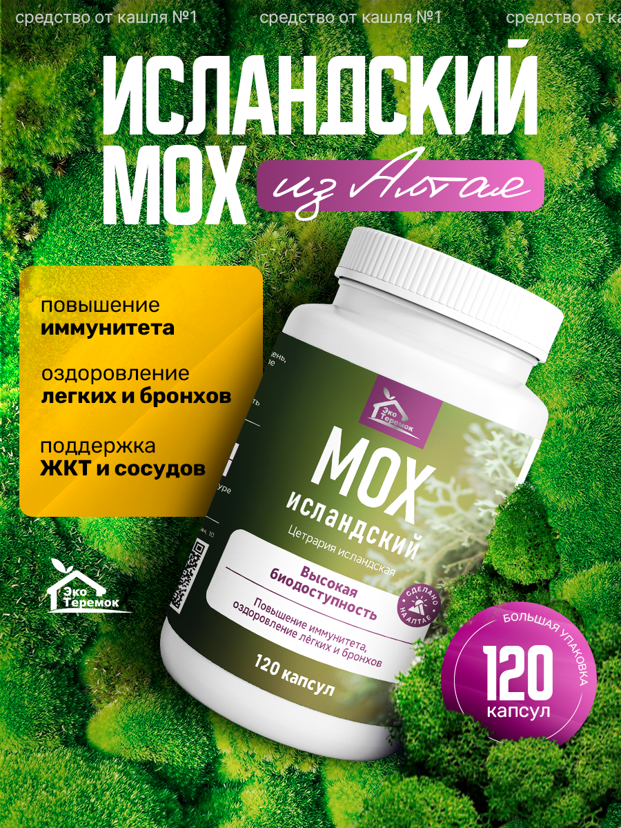 Исландский мох от кашля и бронхита, Цетрария для укрепления иммунитета, природный антибиотик от мокроты и боли в горле, 120 капсул