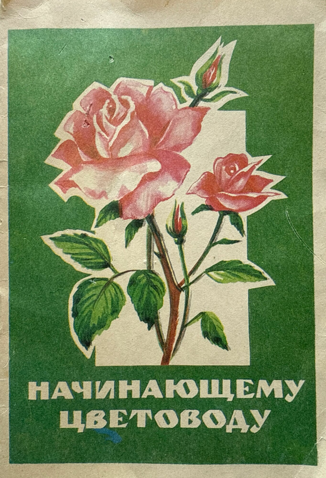 Начинающему цветоводу. Методические рекомендации