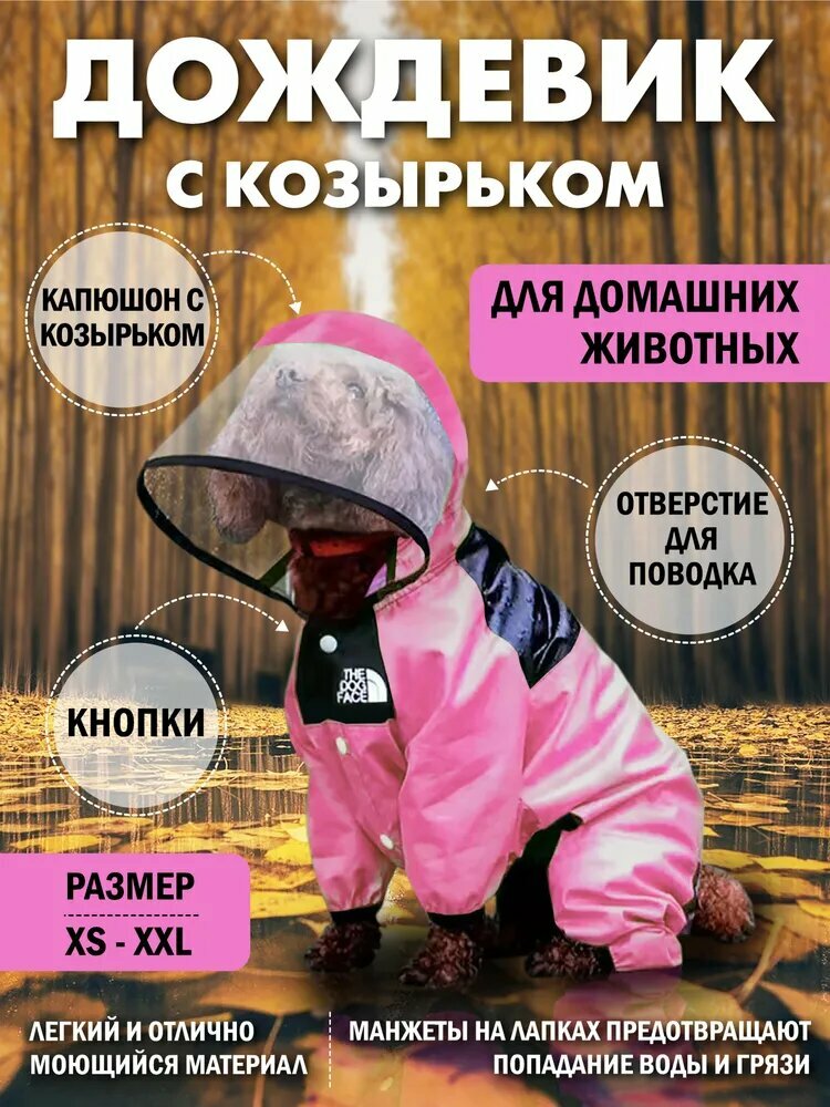 Одежда для животных
