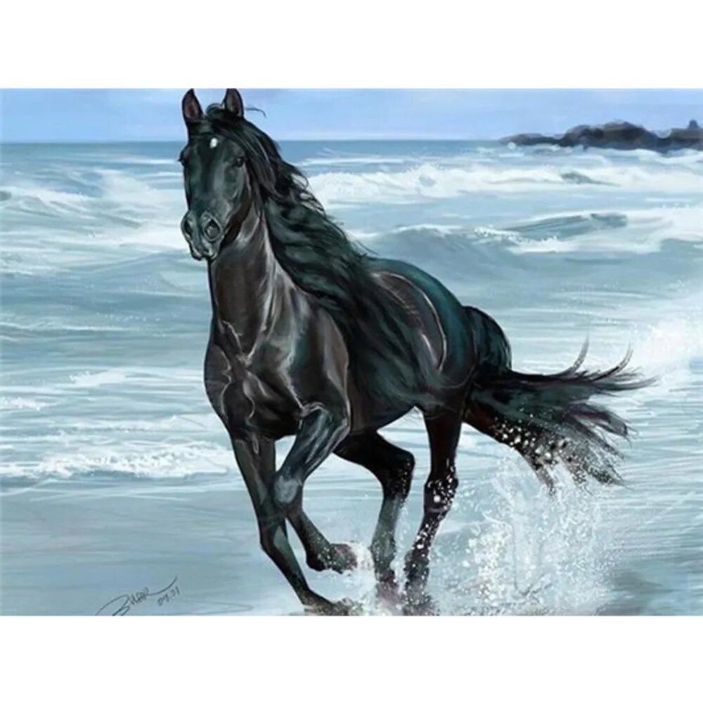 Вышивка крестиком Лошадь на пляже, 40x50 см, 14CT