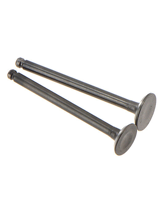 Клапаны (комплект 2шт) стандартные d=16/18,5 (L=69/69) для скутера Honling QT-7 Joker