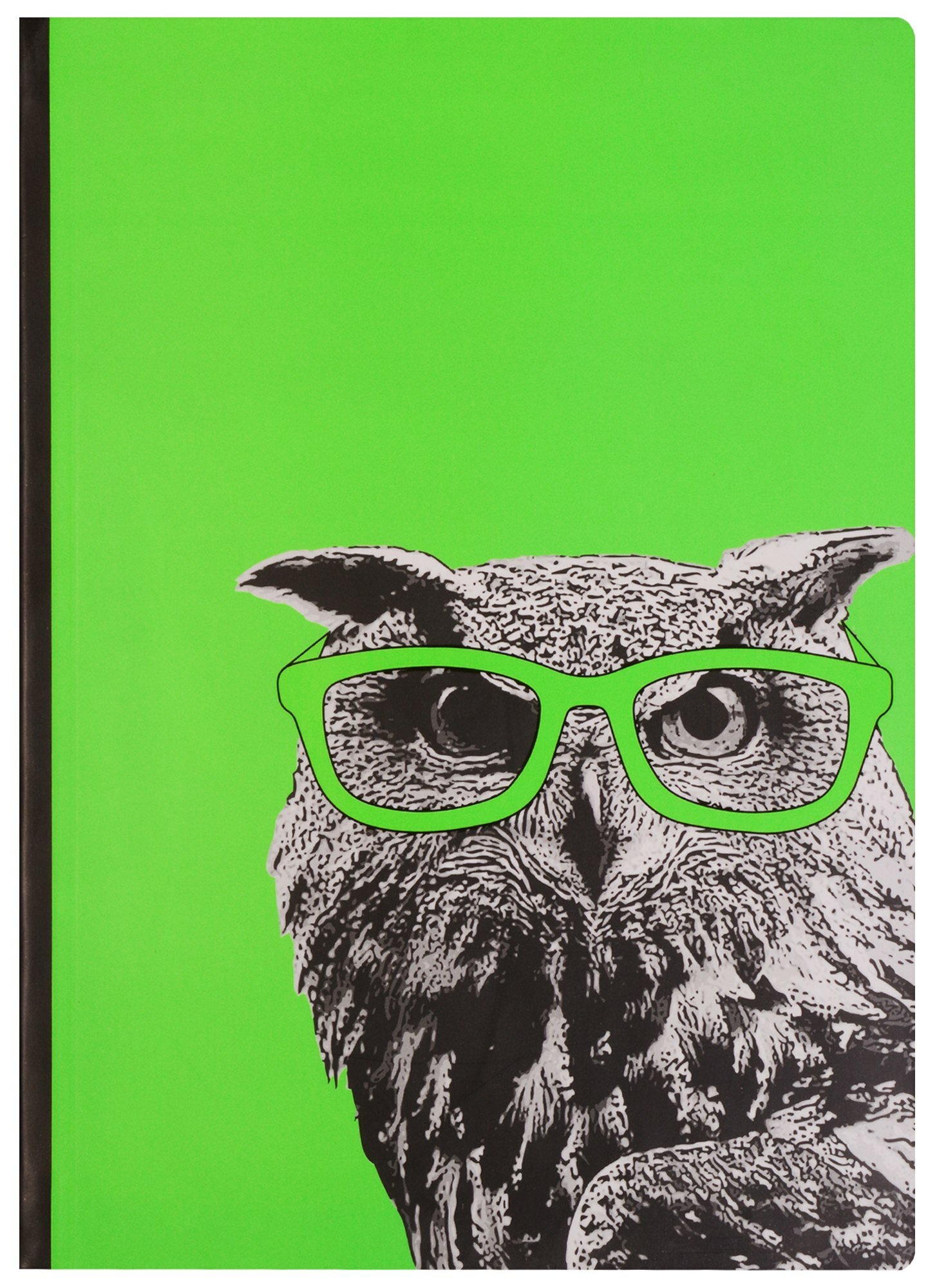 Блокнот "Сова в очках"