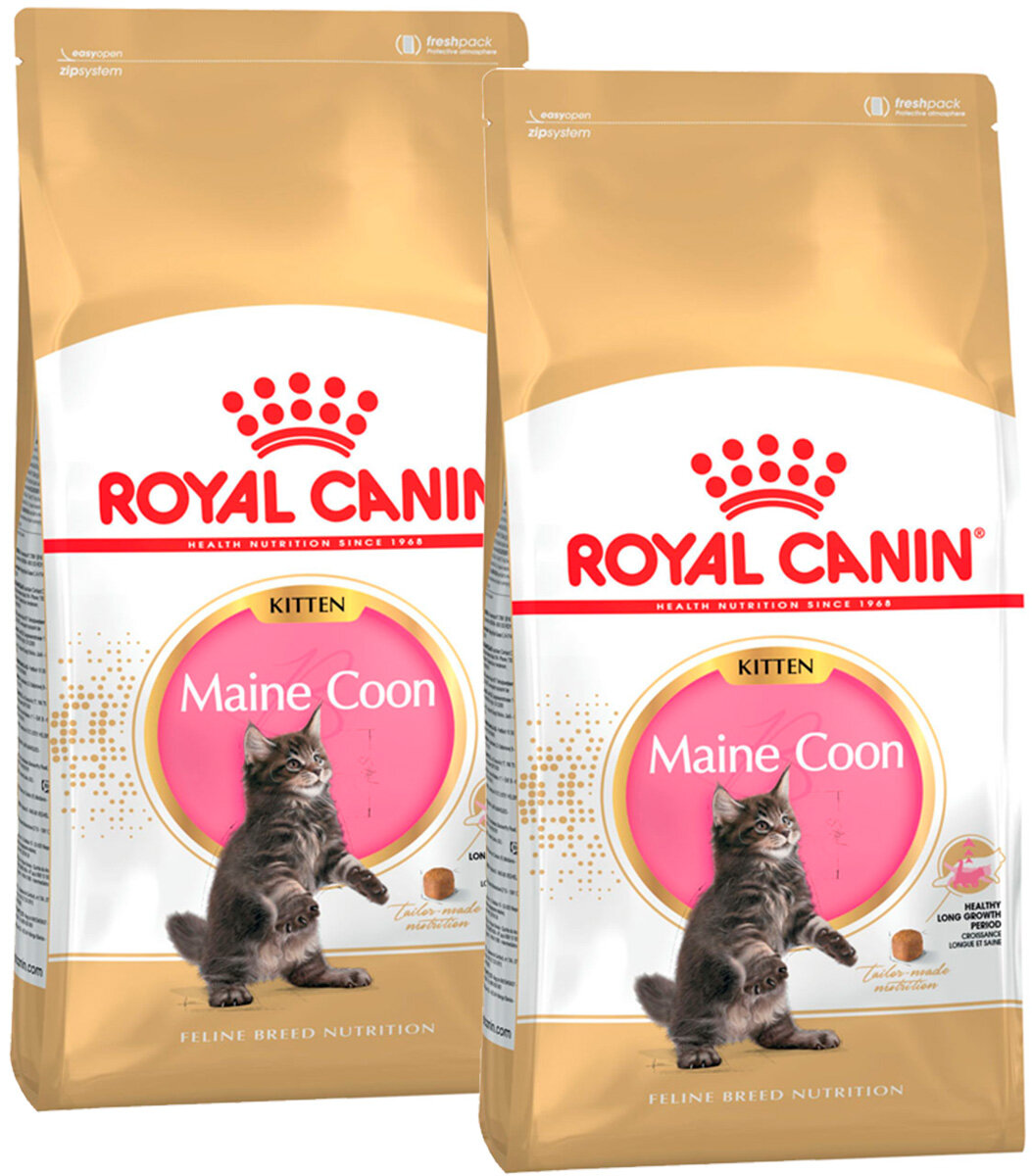 Корм сухой Royal Canin Maine Coon Kitten 36 для котят мэйн кун, 0,4 кг х 2 шт