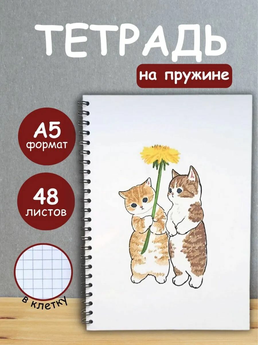 Тетрадь в клетку 48 листов на пружине , блокнот А5 Милые котики