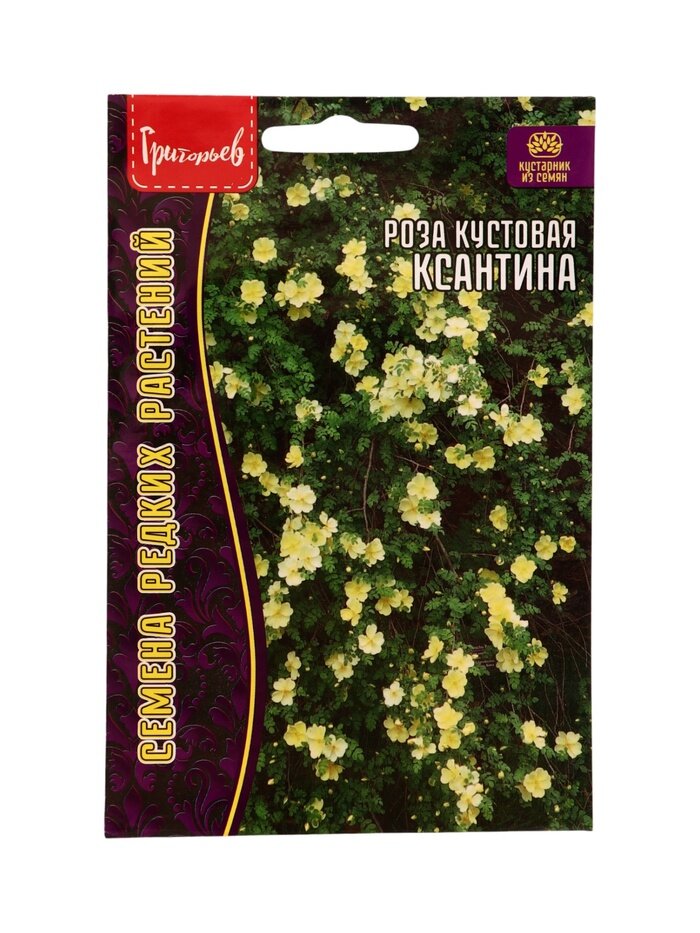 Семена цветов Роза Ксантина кустовая 10 шт. 12.29 г.