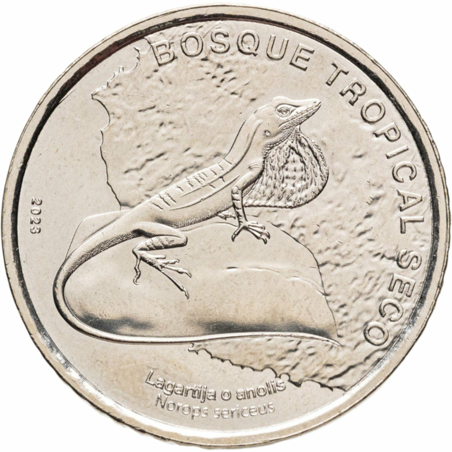 Коста-Рика 50 колонов 2023 2025 Фауна экосистемы - Тропический сухой лес Шелковистый анолис, Сталь, в сохранности UNC