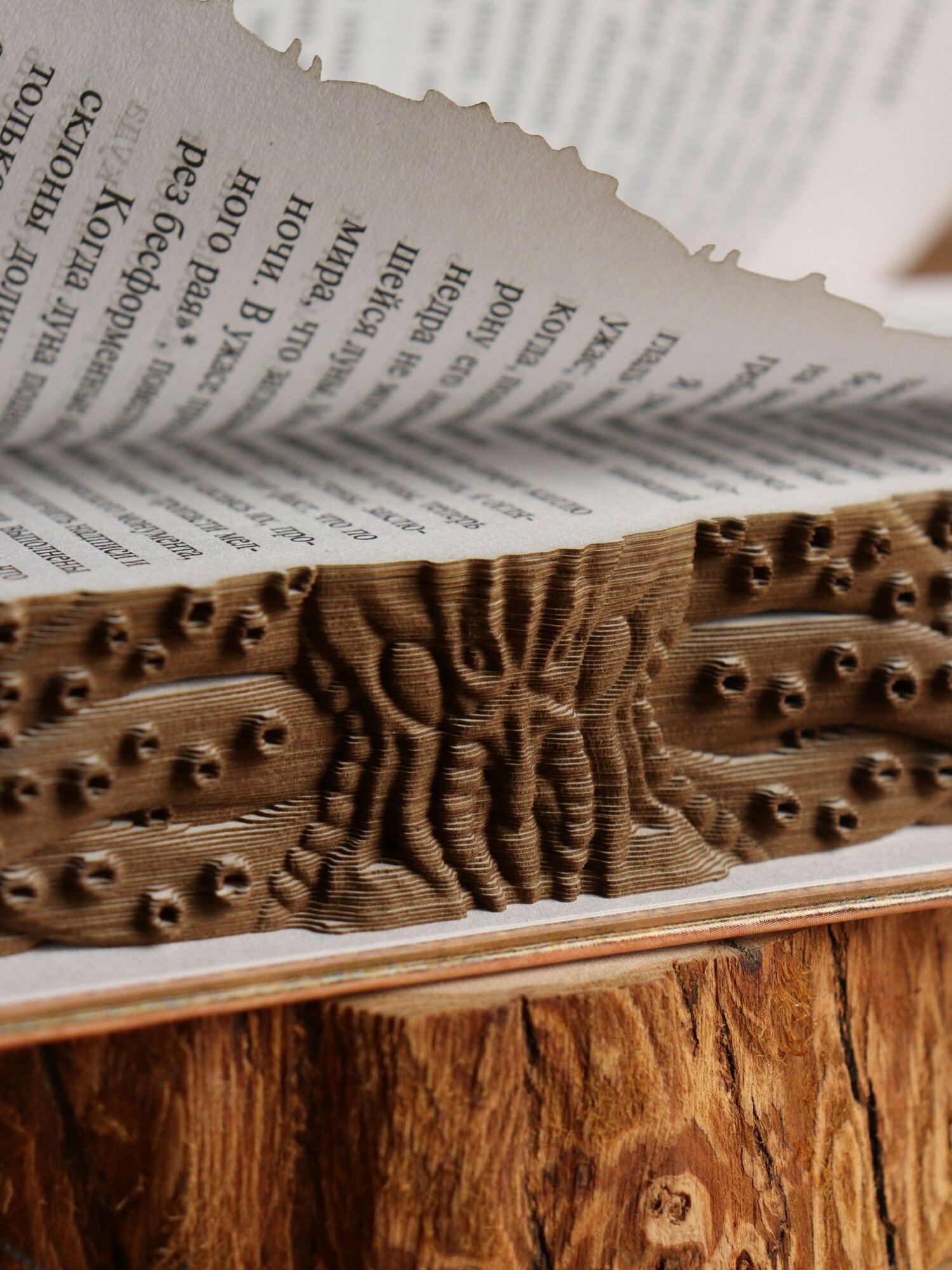 Объемная книга "Зов Ктулху" Говард Филлипс Лавкрафт (Dzenya Sin)