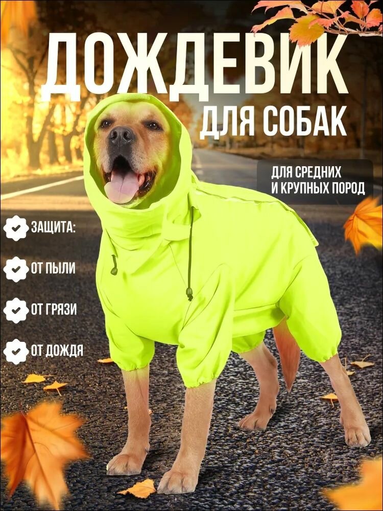 Дождевик для собак средних и крупных пород