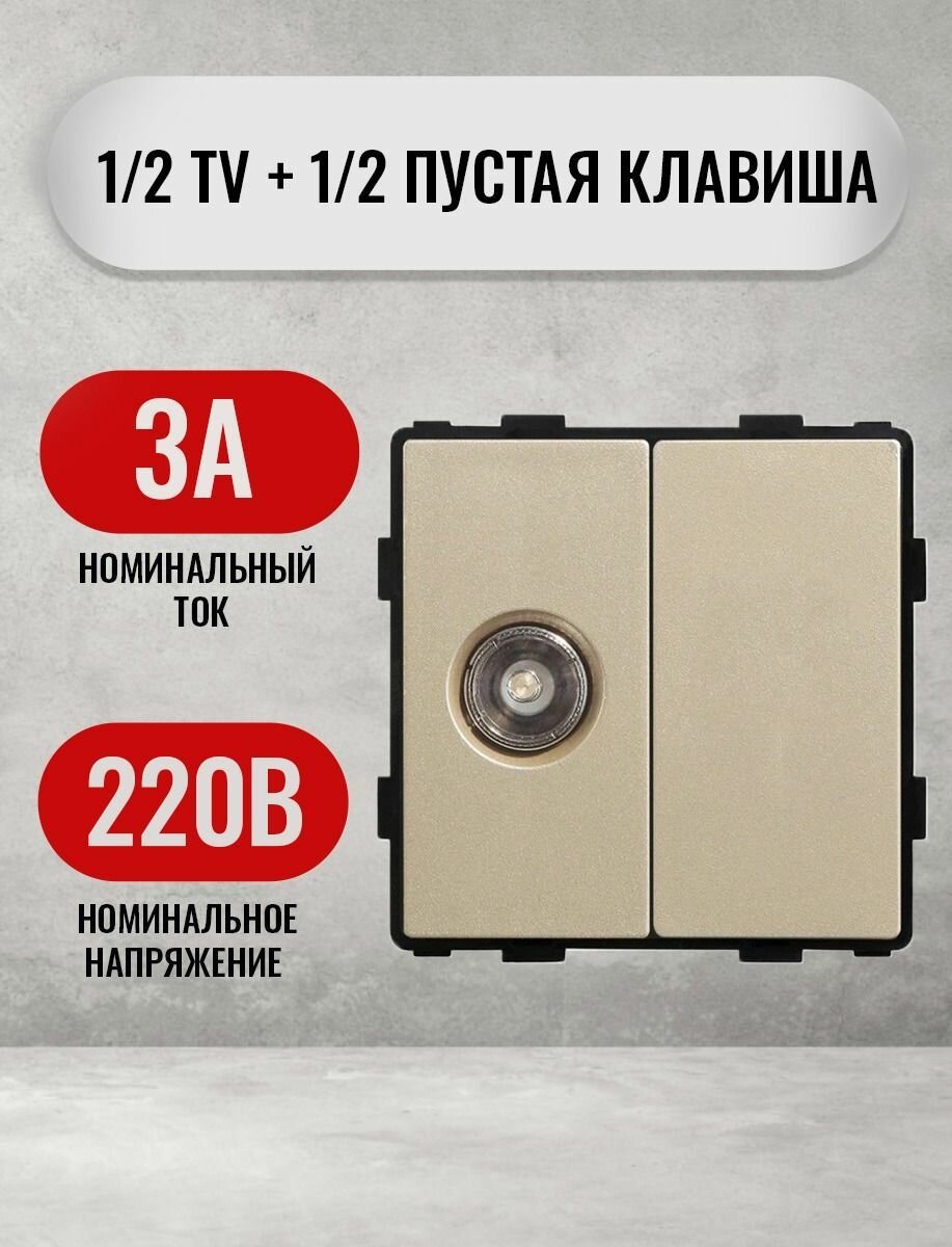 ТВ розетка телевизионная KLUST Basic для TV антенны, кабеля, механизм с клавишей, золотая