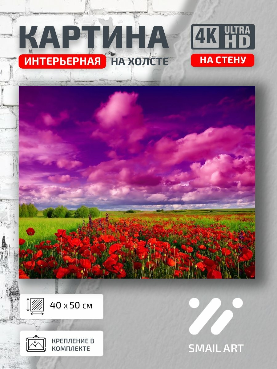 Картина на холсте интерьерная 40 на 50 на стену Маки Landscape для гостиной пейзаж интерьер