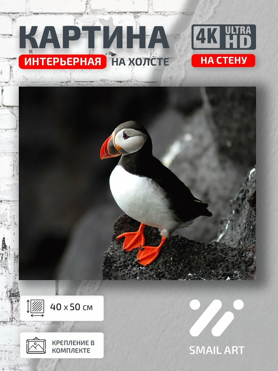Картина на холсте интерьерная 40 на 50 на стену Тупик Animal для детской animal style декор