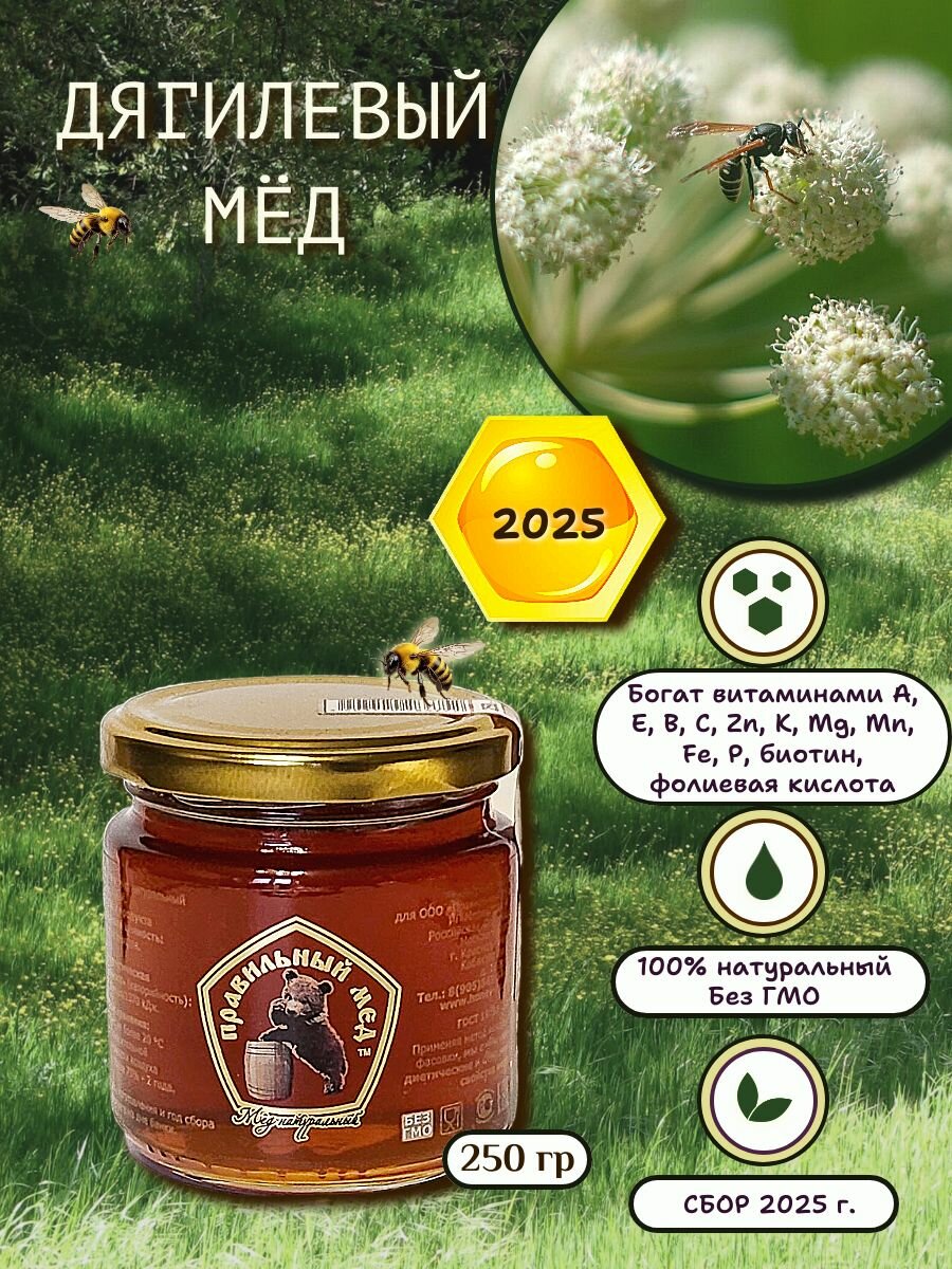 Мёд натуральный Дягилевый 250гр. (сбор 2025г.), Правильный мёд