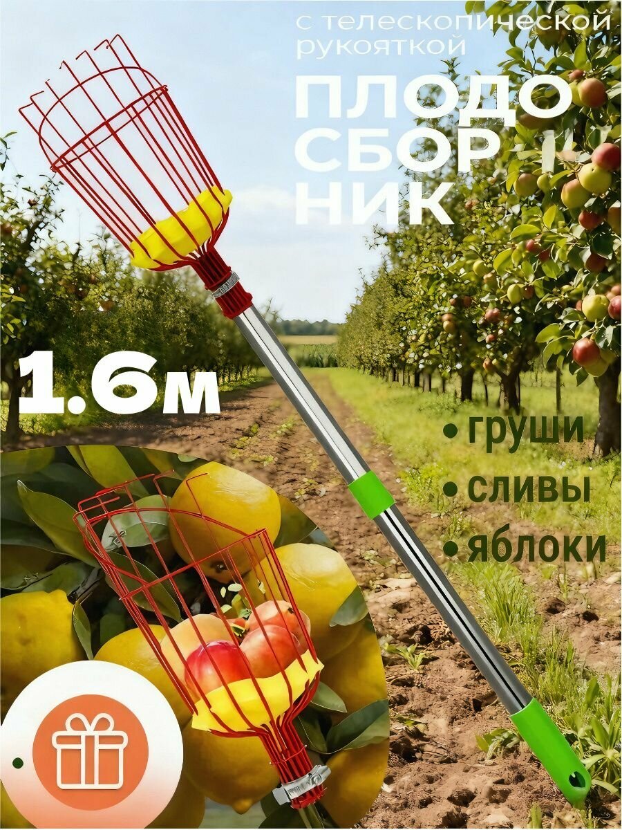 Плодосборник для фруктов с телескопической ручкой, Плодосборник с телескопической ручкой, длина до 1.6 метров
