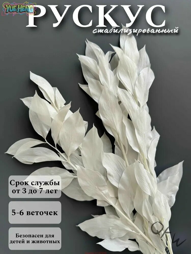 Стабилизированные цветы, 60 см, 1 шт