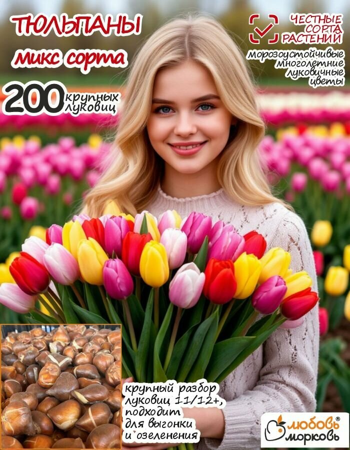 Тюльпан луковицы микс 200 штук