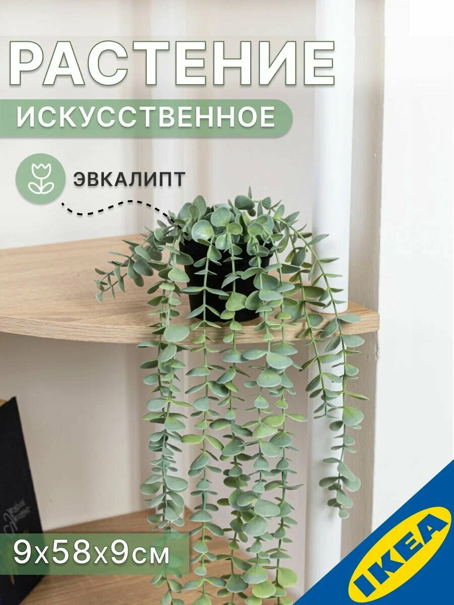 Искусственное растение в горшке Эвкалипт 9х58х9 см, подвесной, зелёный IKEA FEJKA фейка