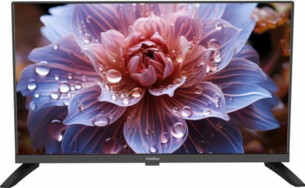 LED телевизор GOLDSTAR LT-24R1000