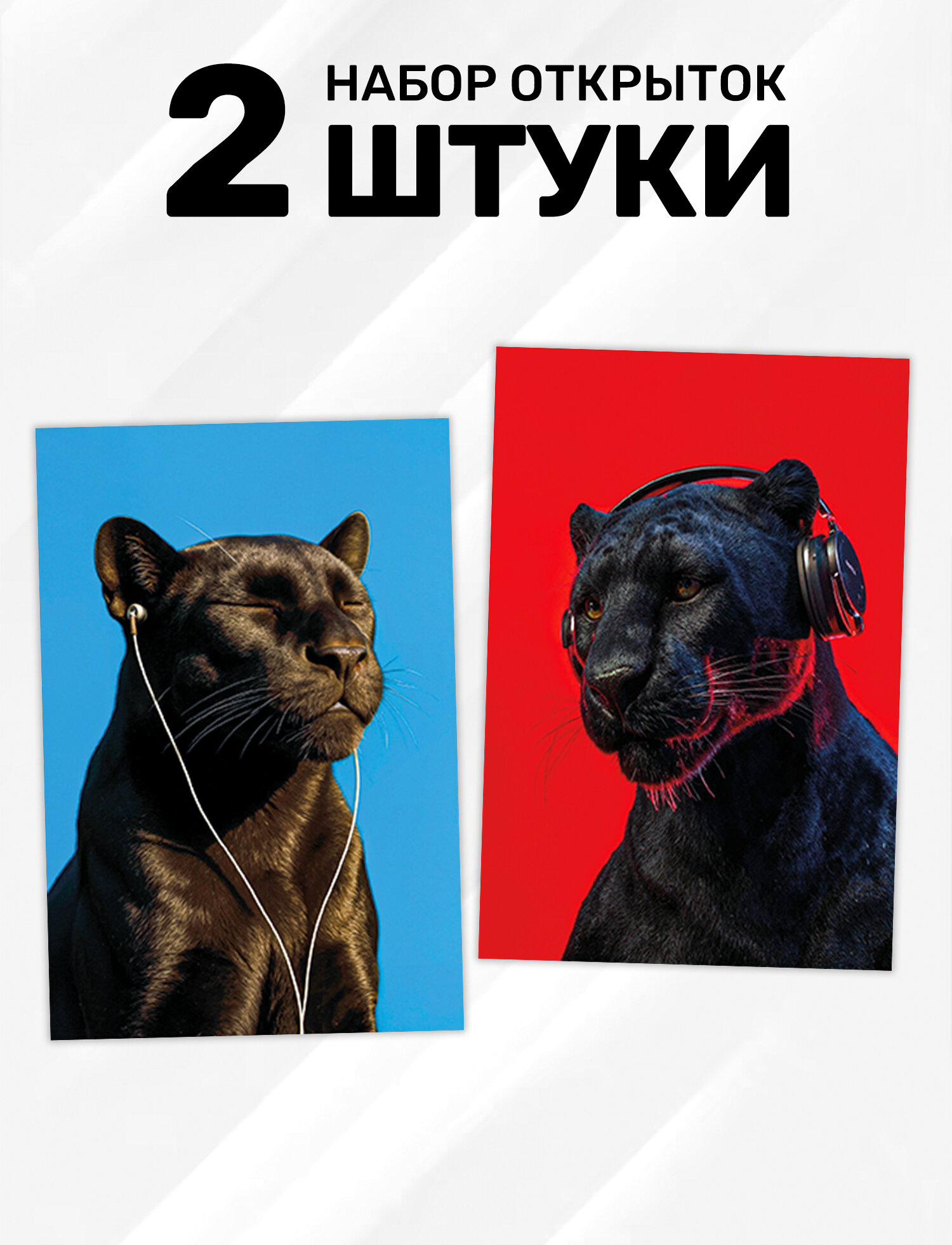 Набор "Кошка и кот" 2 открытки (подходит под рамку 10х15см, плотная бумага, подставка)