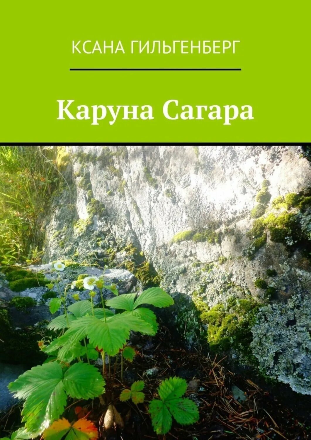 Каруна Сагара [Цифровая книга]