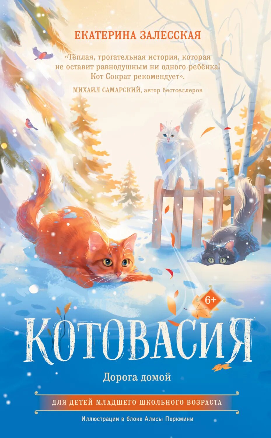 Котовасия. Дорога домой [Цифровая книга]