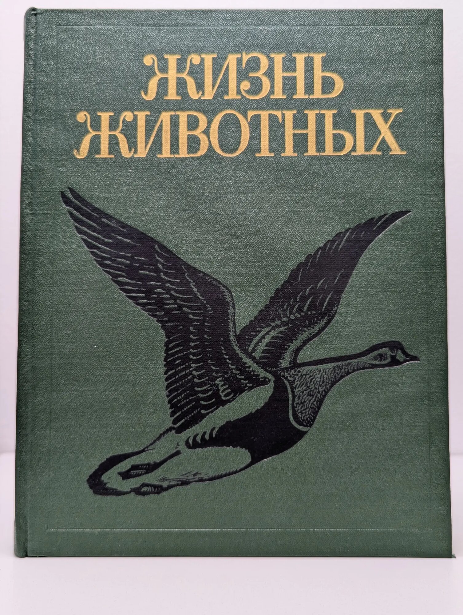 Жизнь животных. Том 6. Птицы Ильичев В. Д. (ред.), Михеев А. В. (ред.) 1986