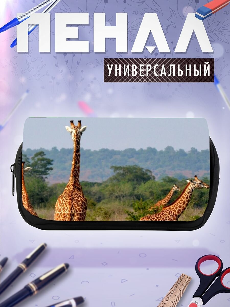 Школьный пенал Национальный Парк Вулканов Озеро Ihema