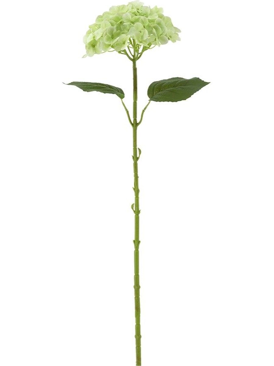 A0015-GREE Растение декоративное Гортензия 18х18х64см, Glasar