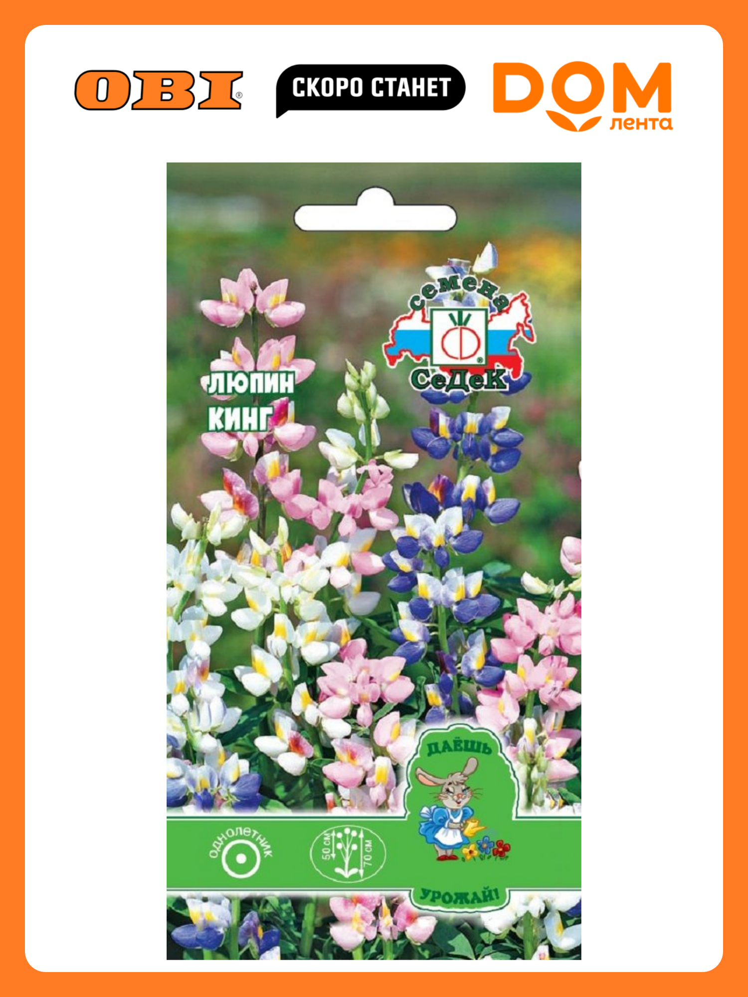 Цветок Люпин Кинг