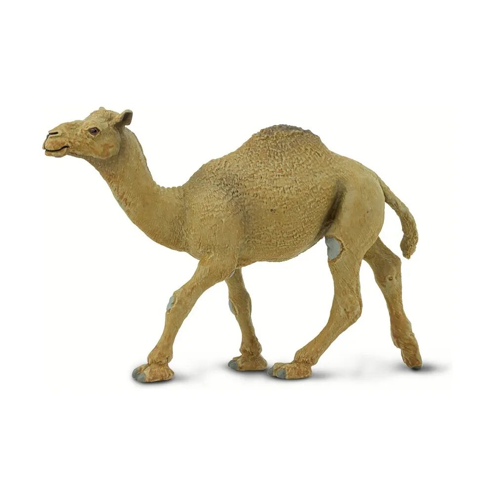 Фигурка Safari Ltd Одногорбый верблюд