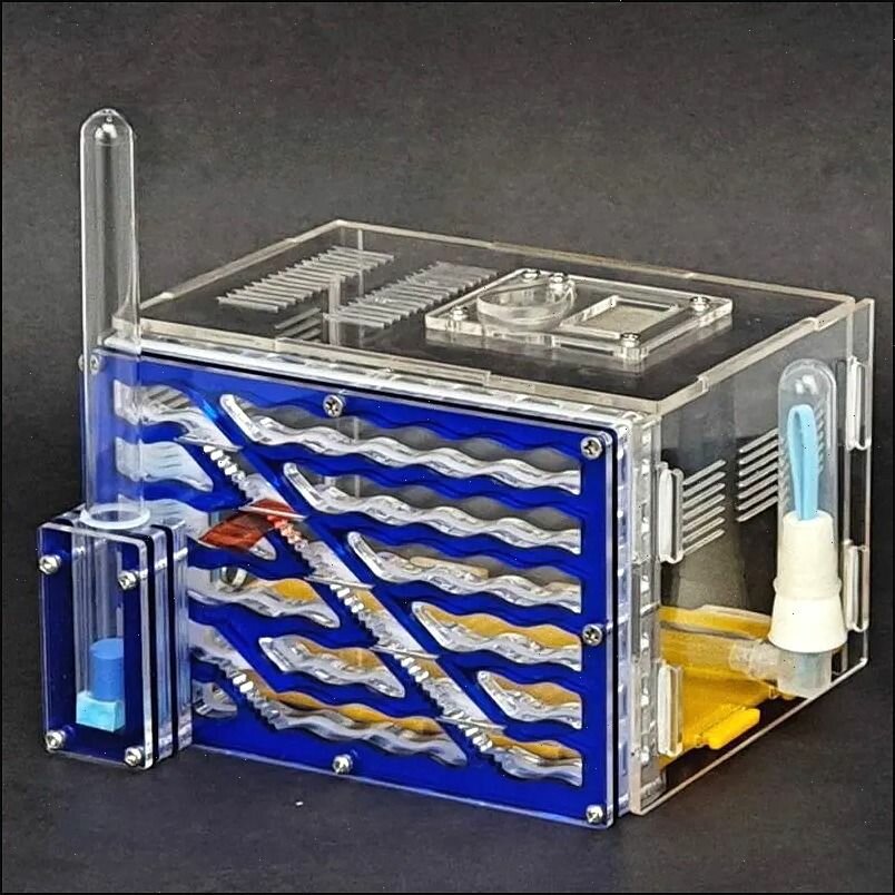 Большая муравьиная ферма желтого и голубого цвета