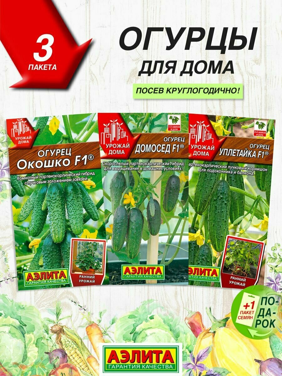 Семена овощей Аэлита Огурцы комнатные и балконные 3 сорта / Семена Огурцов