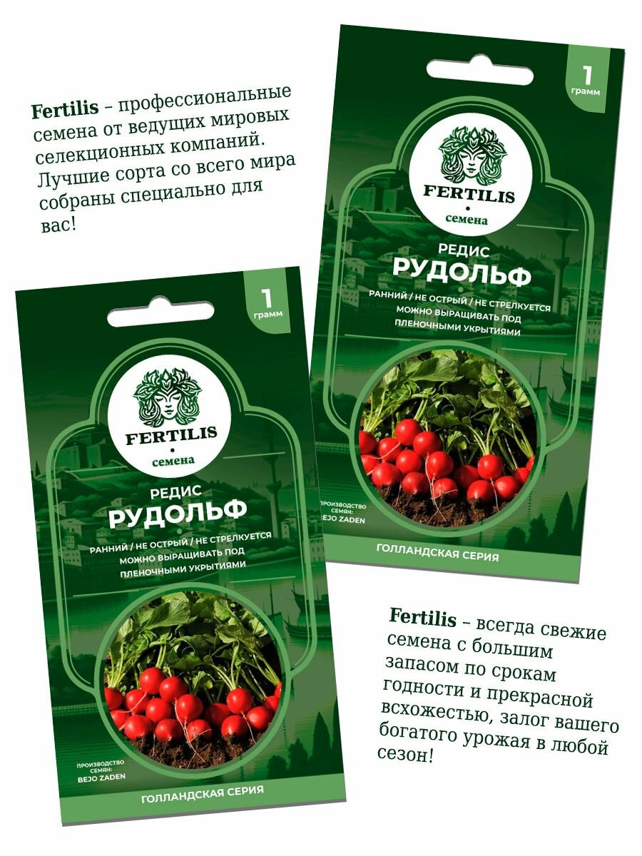 Семена урожайного редиса Рудольф от компании Fertilis (2 пачки) — фото 1