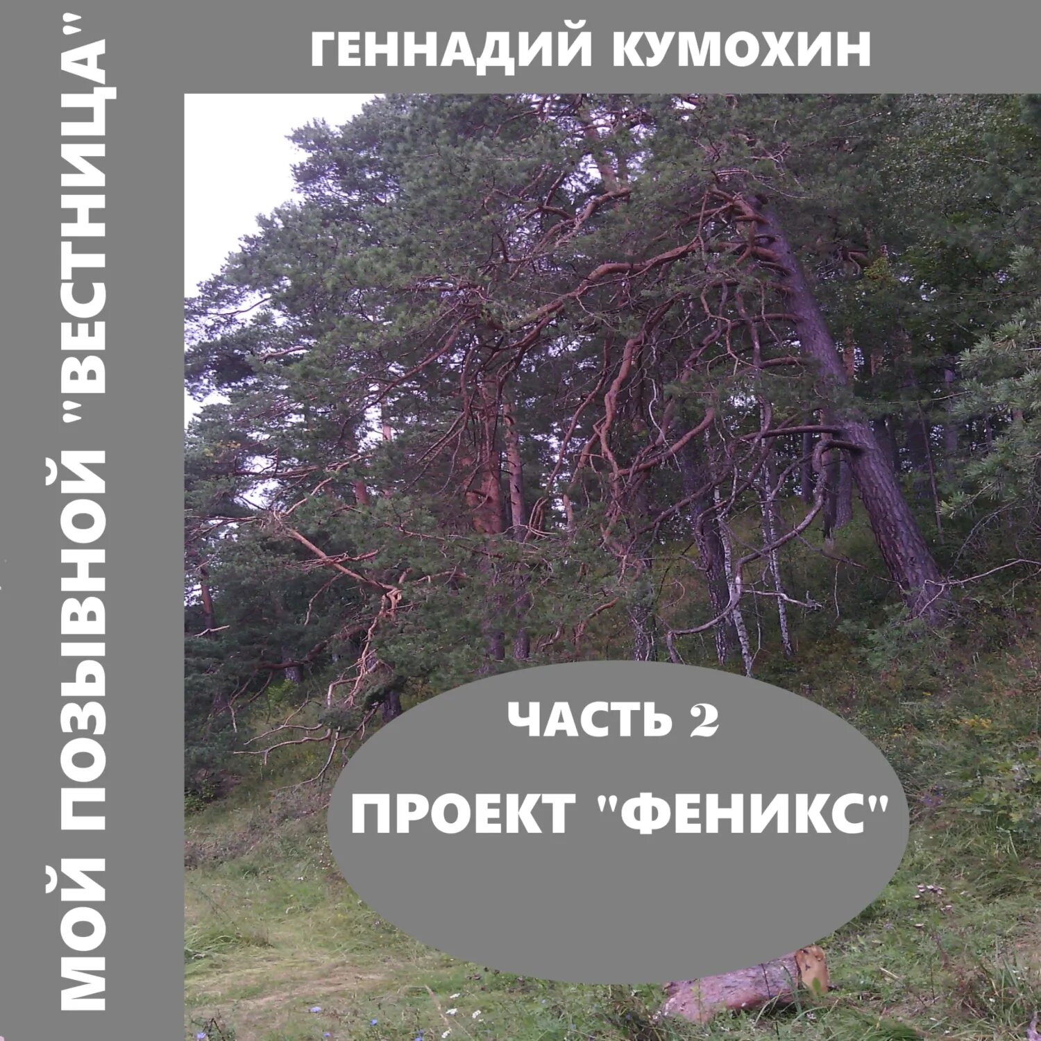 Мой позывной «Вестница». Часть 2. Проект «Феникс» [Аудиокнига]