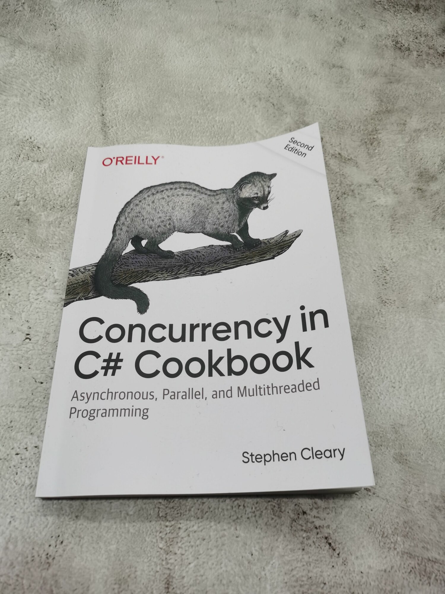 Concurrency in C# Cookbook: Asynchronous, Parallel, and Multithreaded Programming Reprinted books