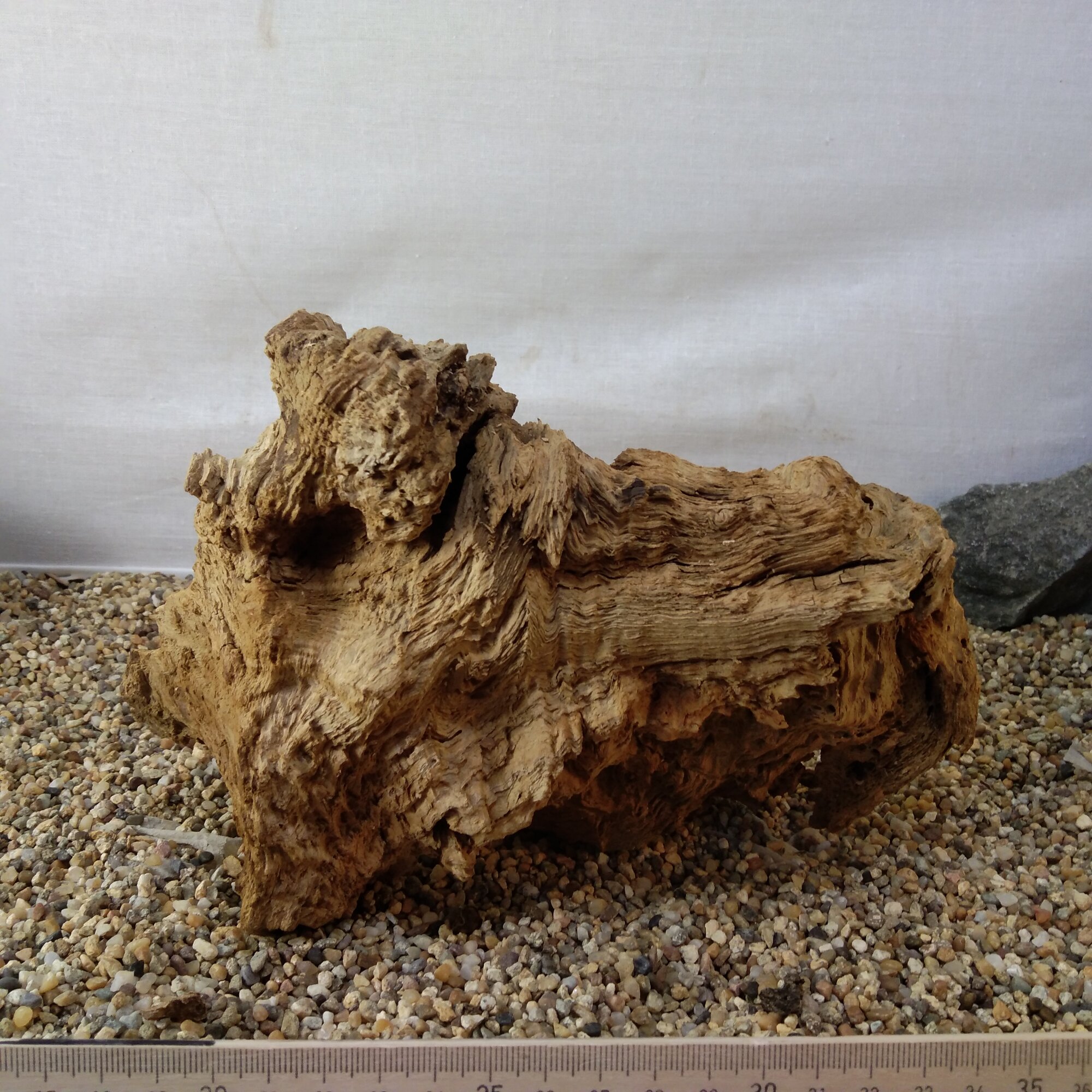 Коряга натуральная для аквариума "Акварум"