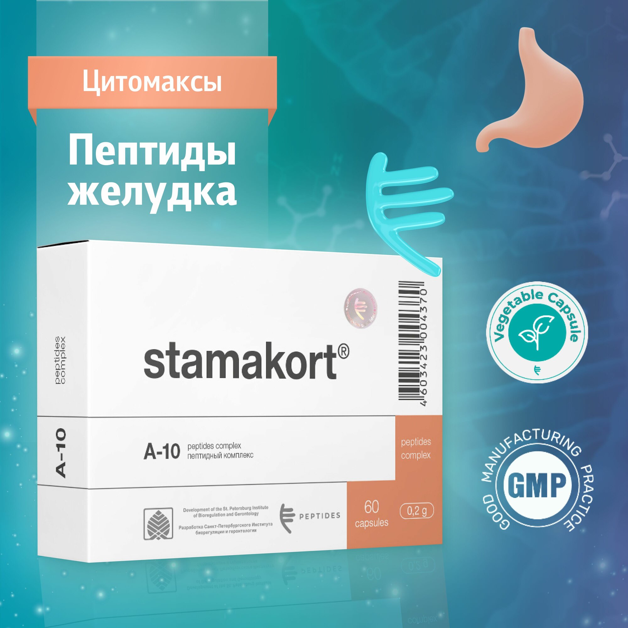 Стамакорт N60 - пептидный комплекс для слизистой желудка (60 капсул) I поддержка пищеварительной системы