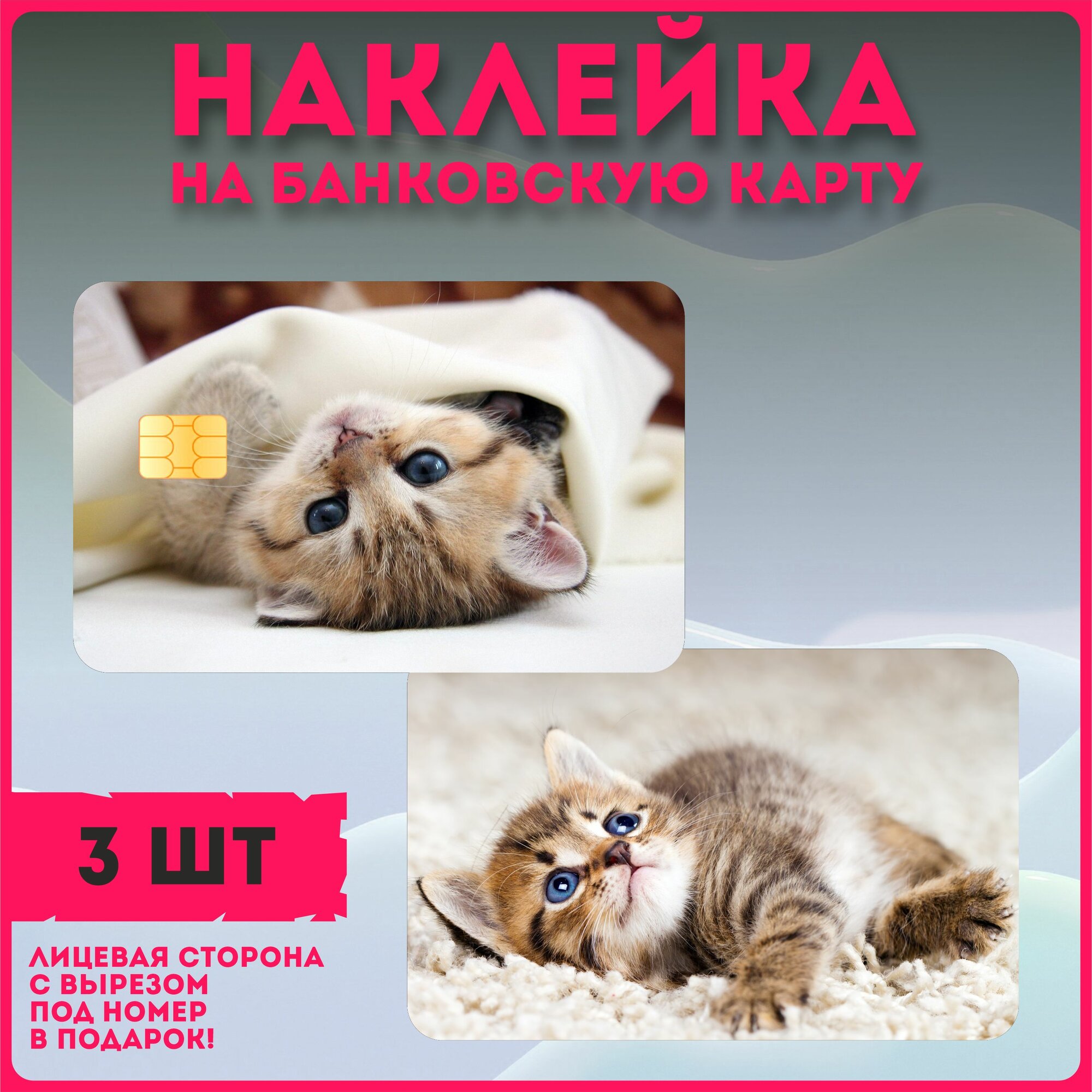 Наклейка на банковскую карту милота котики