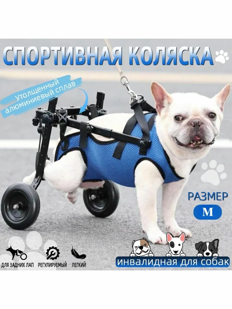 Инвалидная коляска для собак и кошек для задних лап, для мелких и средних пород, размер M, синий