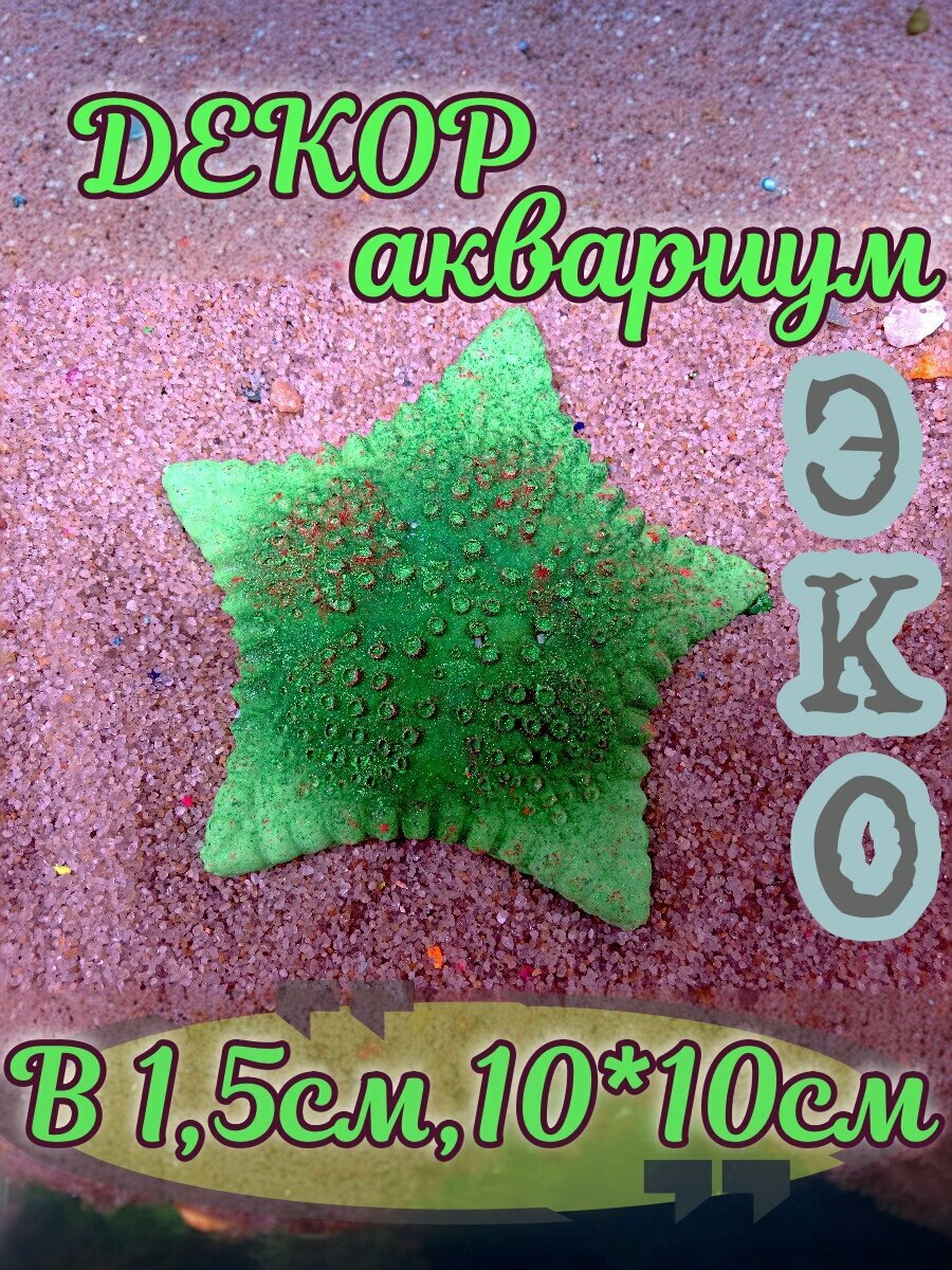 Звезда "Печенька" коралл ЭКО, для аквариума, натуральный вид, эко коралл, 10х10 см