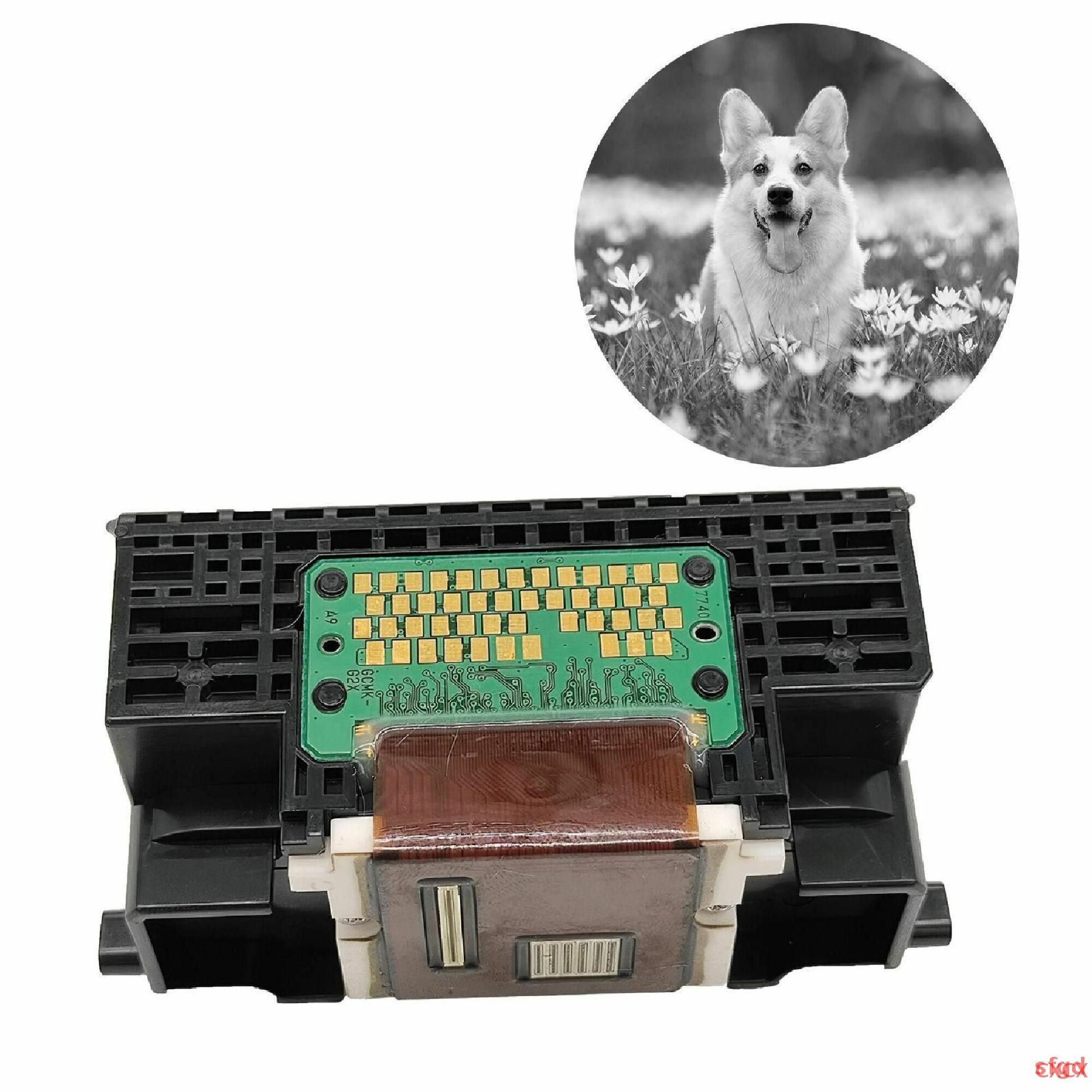 QY6-0073 печатающая головка для Canon iP3600 iP3680 MP540 MP550 MP560 MP568 MP620 MX860 MX868 MX870 MX878 MG5150 MG5180