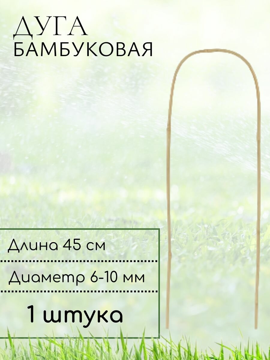 Дуга бамбуковая высота 45 см, ширина 13 см - для поддержки комнатных декоративных и вьющихся растений. Может использоваться при выращивании садовых цветов.
